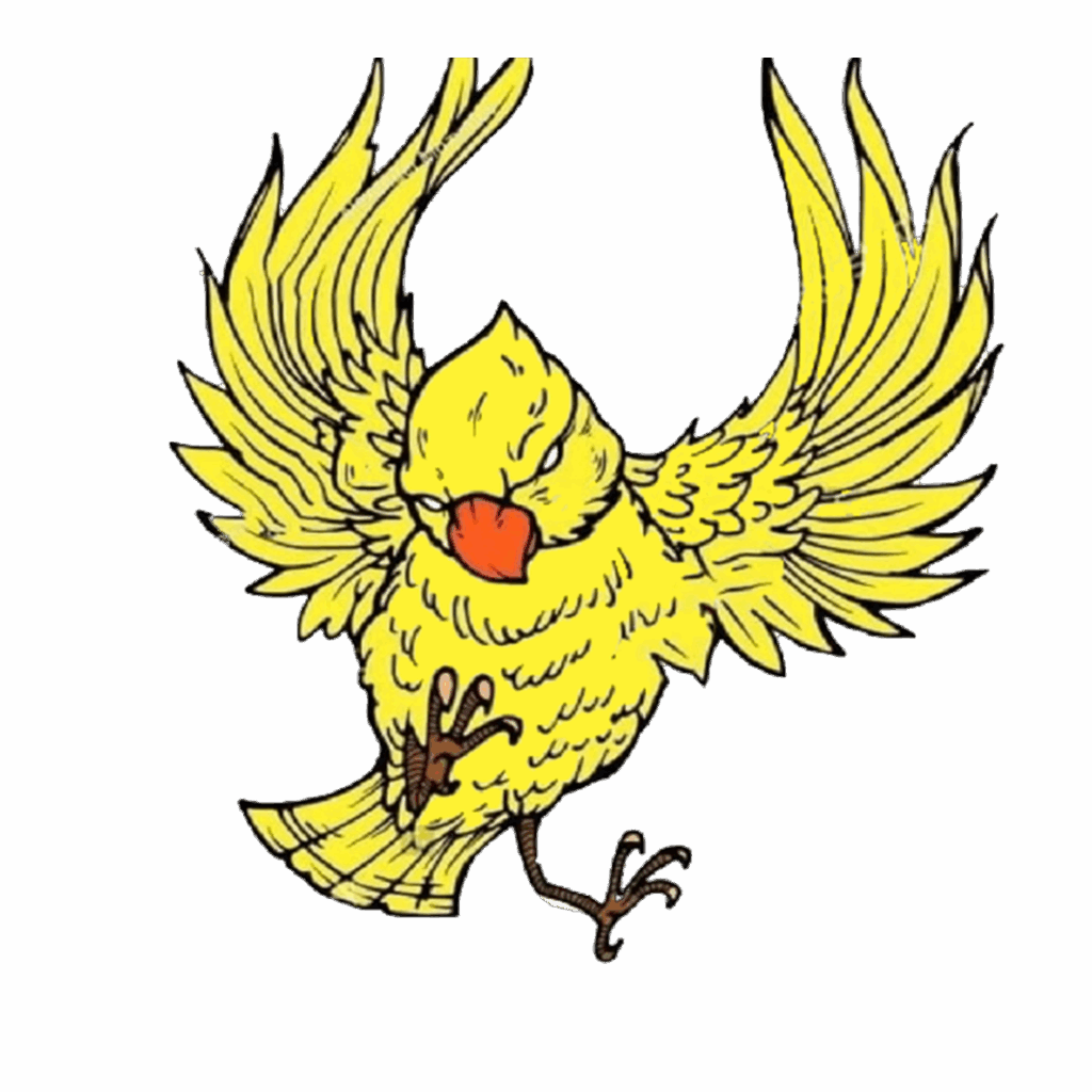 Grand Canaries – Salonicup
